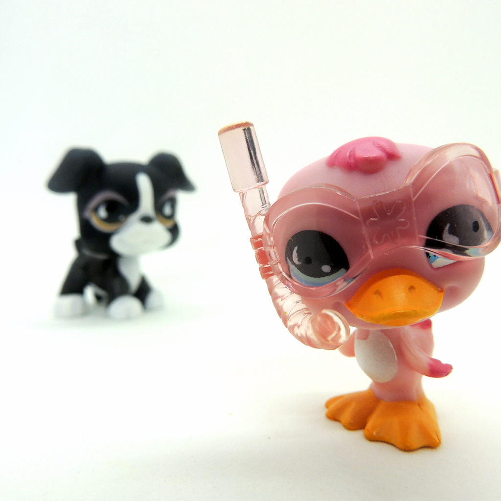 Littlest Pet Shop Pet Pairs Boxer Duck 825 826 Hasbro - Madtoyz